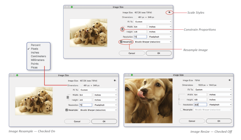 Resize (or Downsample) and Resample an Image – uLearn